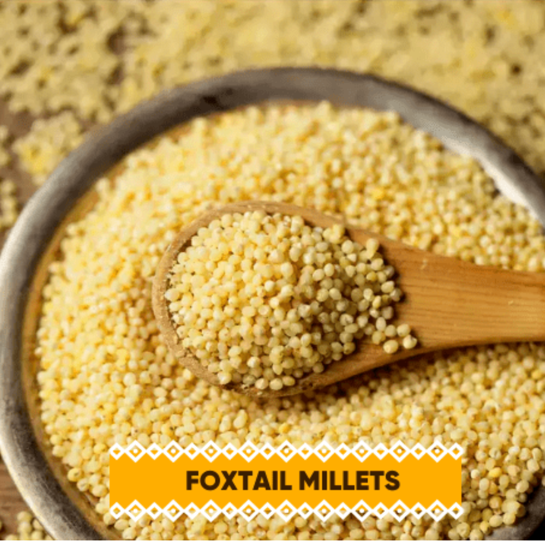 Foxtail Millet Whole Grain | Kangani | Gluten Free | No Chemicals | Hi ...